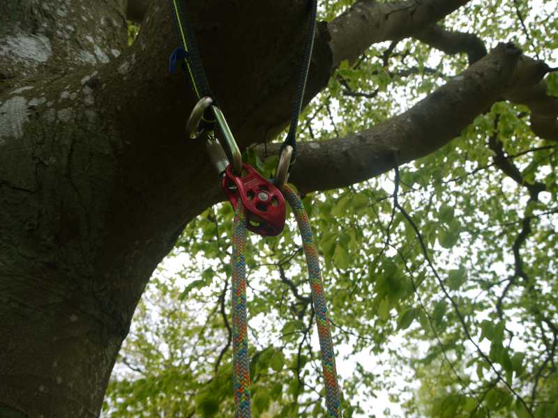 Friction Saver-minimize friction - Tree Climbers International Forum ...